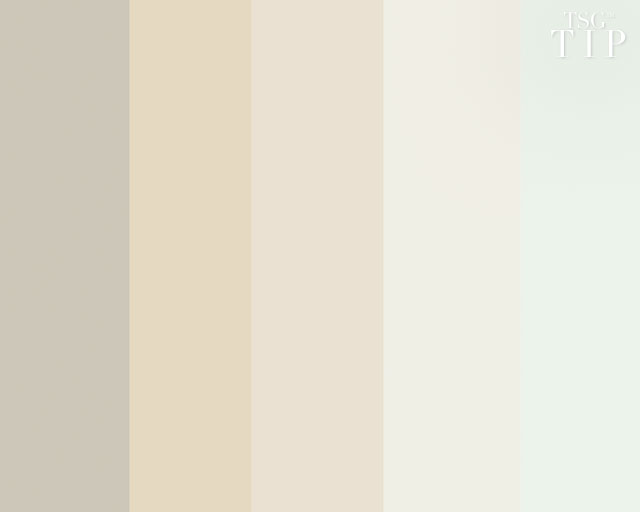 Finding the Right White Paint Color - TSG Tip - The Scout Guide