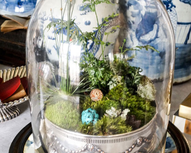 Enchanting Mini-Ecosystems - The Scout Guide